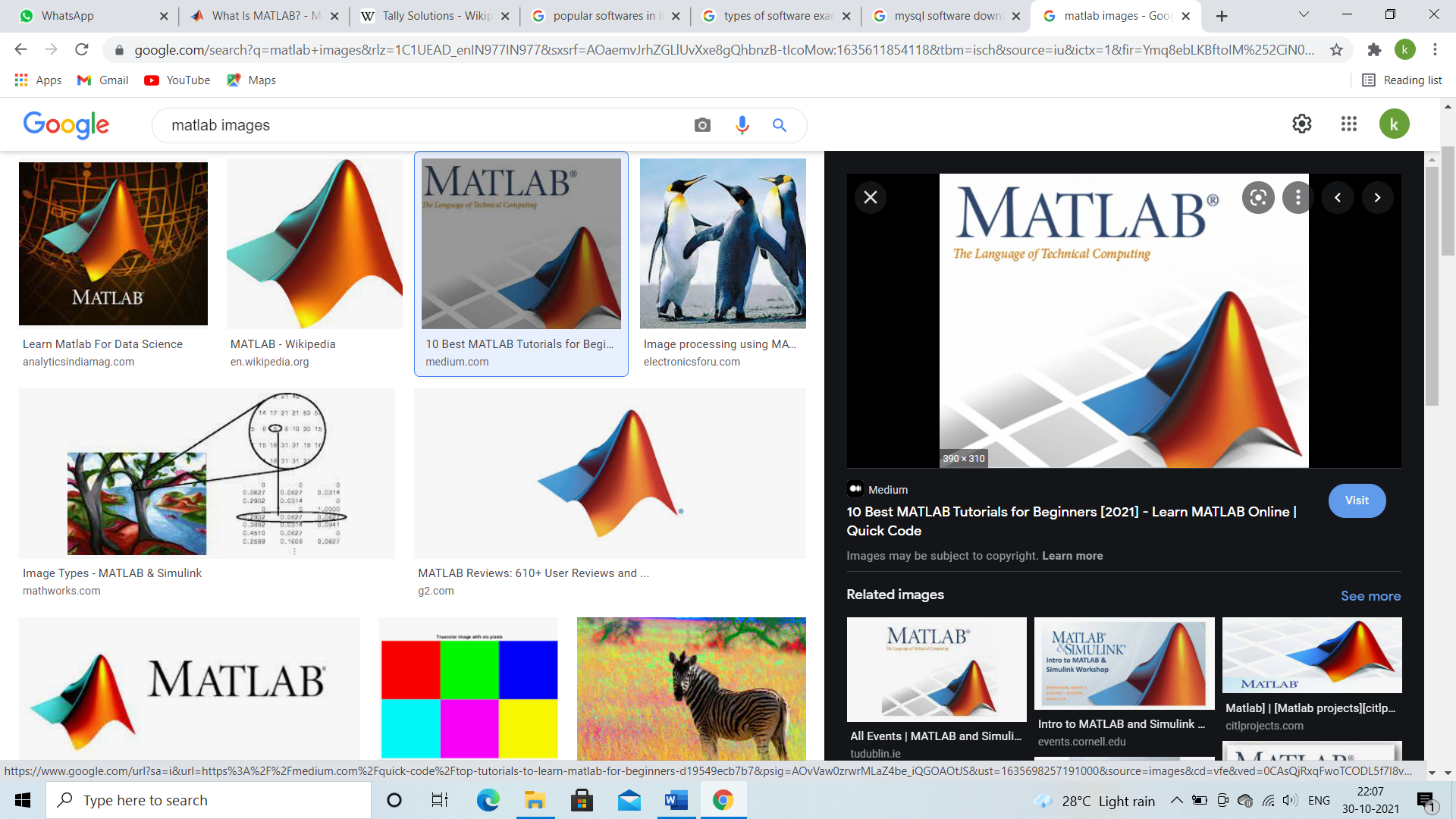 Top 10 Popular Softwares In India - Techyv.com