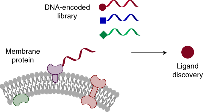An Overview Of DNA Encoded Library Technology - Techyv.com