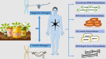 How Can Pesticides Help To Diagnose Cancer? - Techyv.com