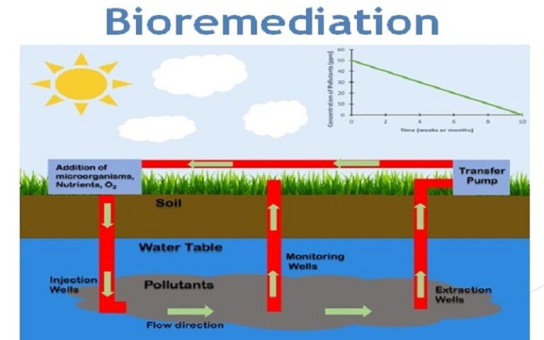 Top 10 Applications Of Biotechnology In Our Everyday Life - Techyv.com