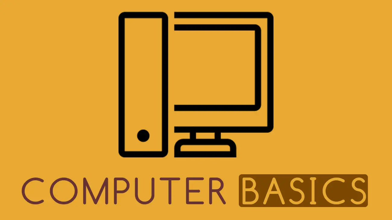 Computer Basics : Input, Display and Store - Techyv.com Computer Basics : Input, Display and Store - Techyv.com
