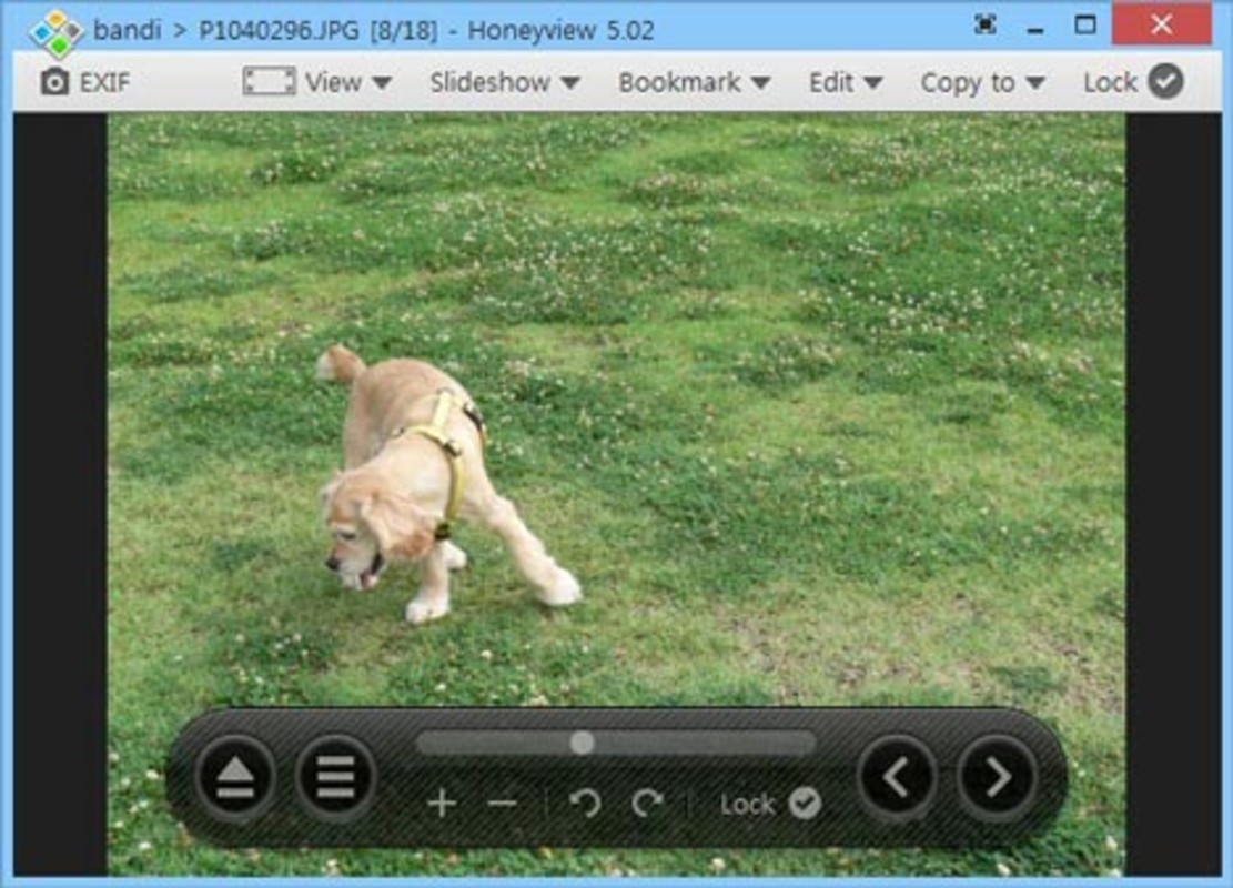 Top Ten Best Image Viewer Software For Windows - Techyv.com