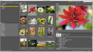 Top 10 Digital Photo Album Software - Techyv.com