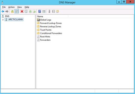 Learn About Windows Server Dns Manager In Brief. - Techyv.com