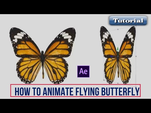 After Effects Animation how to animate flying butterfly Tutorial 5 ...